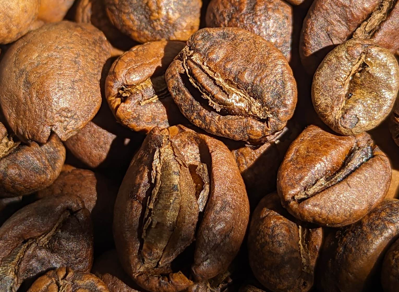 Specialty Coffee - Single Origin – Dino Coffee